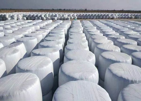 Silage Film Innovations: Advanced Solutions for Optimal Forage ...